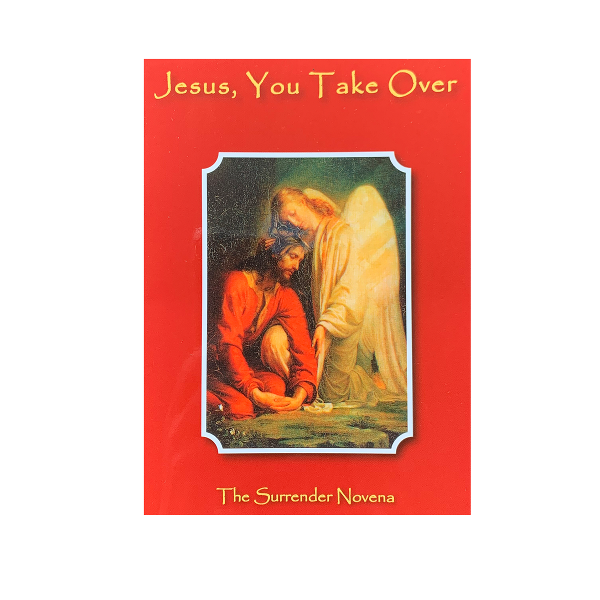 JESUS, YOU TAKE OVER (THE SURRENDER NOVENA BOOK) – Alphonsus Liguori ...